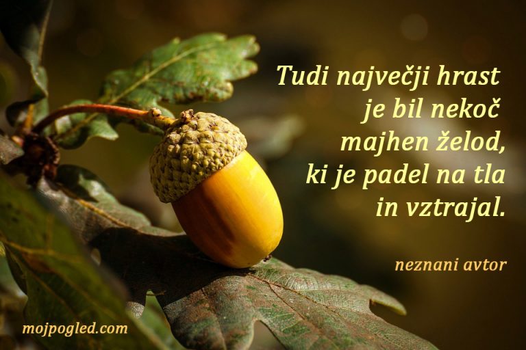 Najlepše misli v sliki in besedi - mojpogled.com