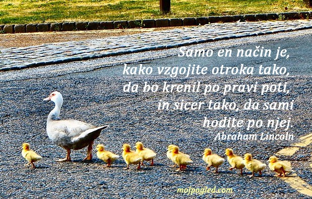 Najlepše misli v sliki in besedi - mojpogled.com